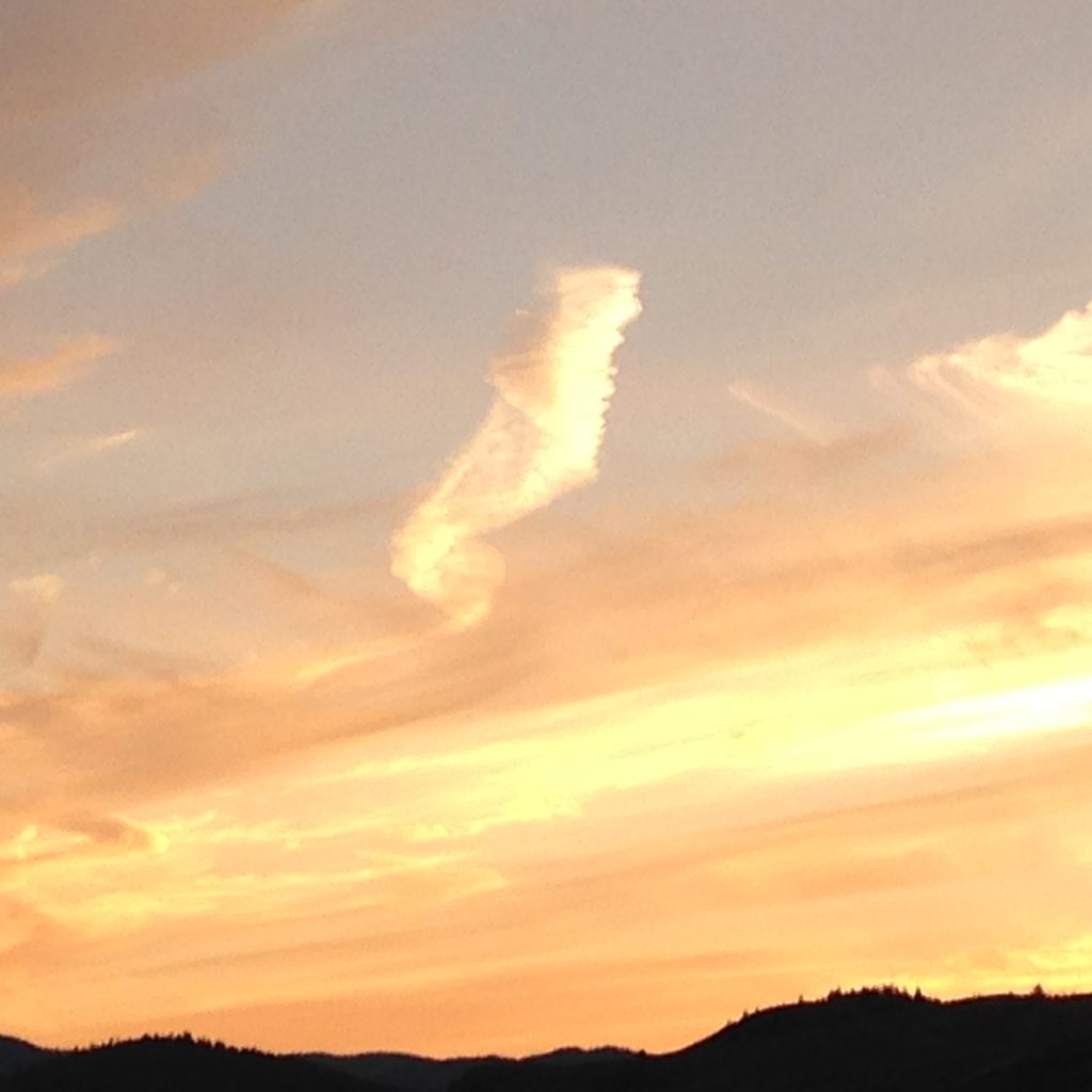 About Internal Freedom | Internal Freedom